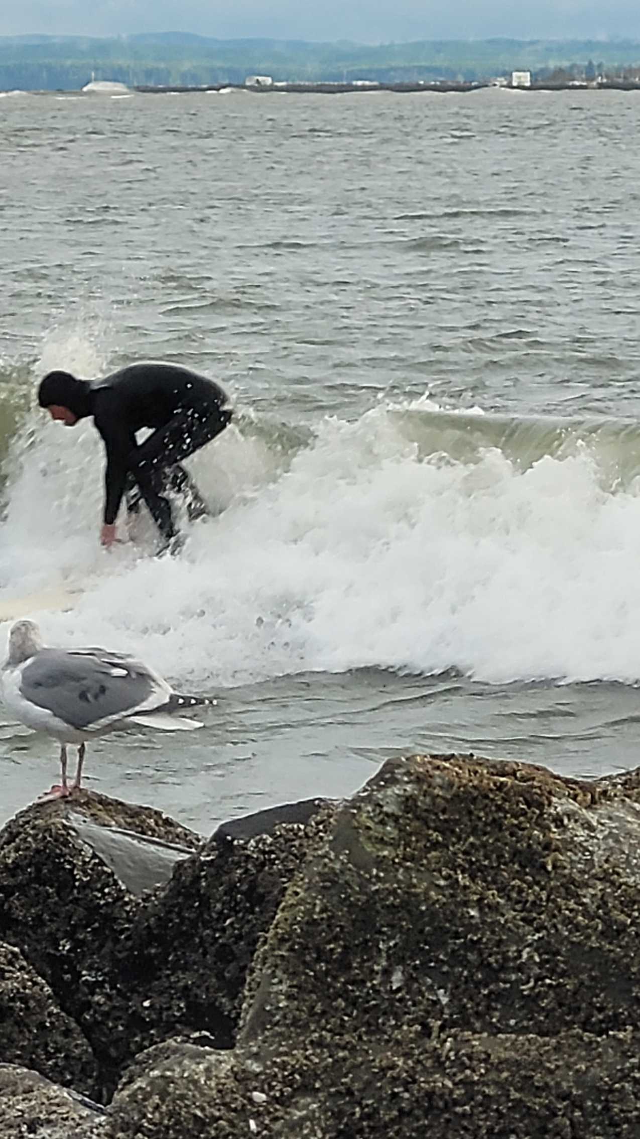 Tides Report Ocean Shores WA MyCoast