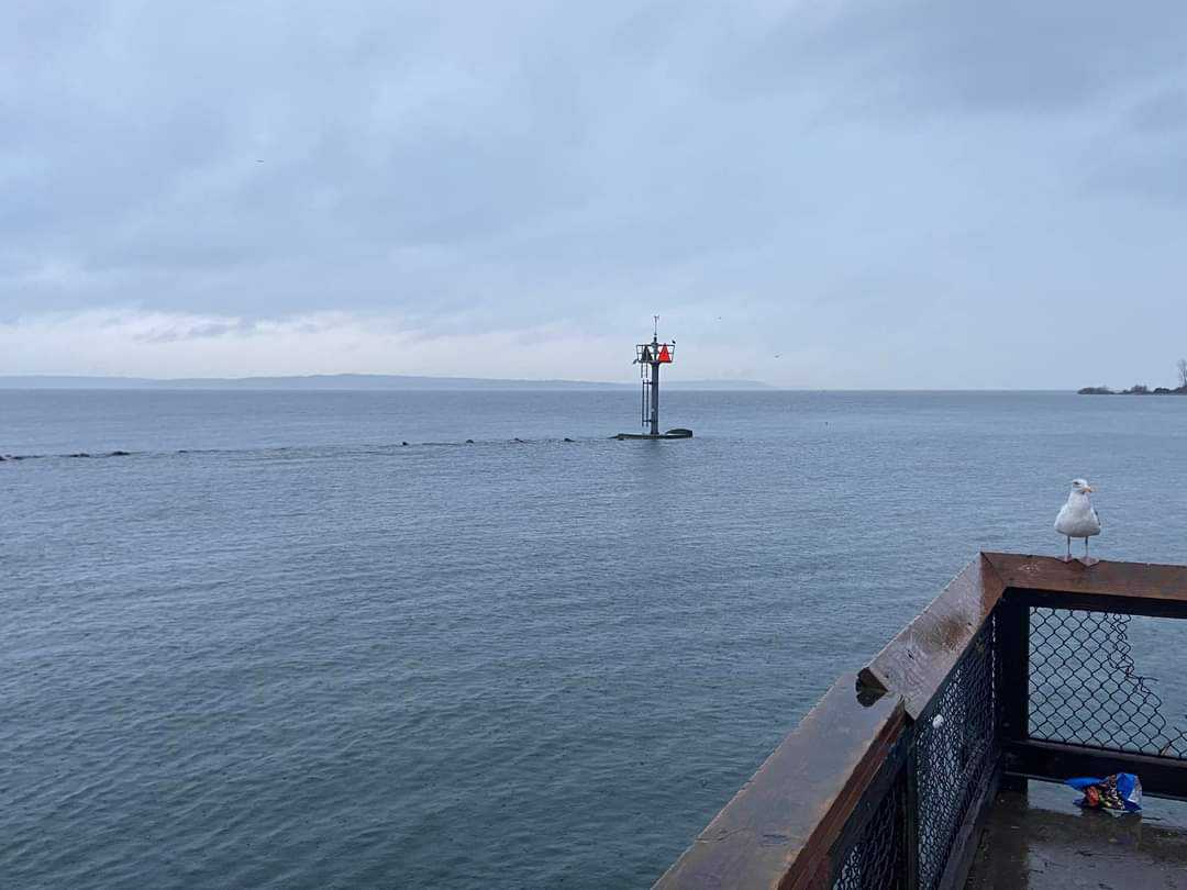 Tides Report Seattle WA MyCoast